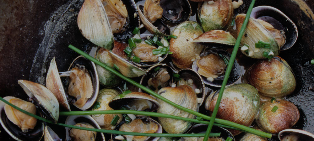 Littleneck Clam NZ | New Zealand Clams | Clam Suppliers