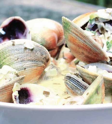 Southern Clams Ltd - Recipes | Queen Scallops Seaweeds