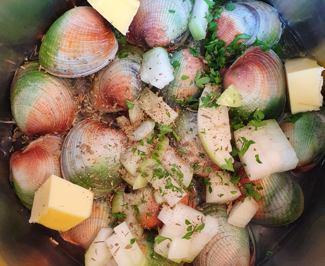 Southern Clams Ltd | Seafood Supplies New Zealand